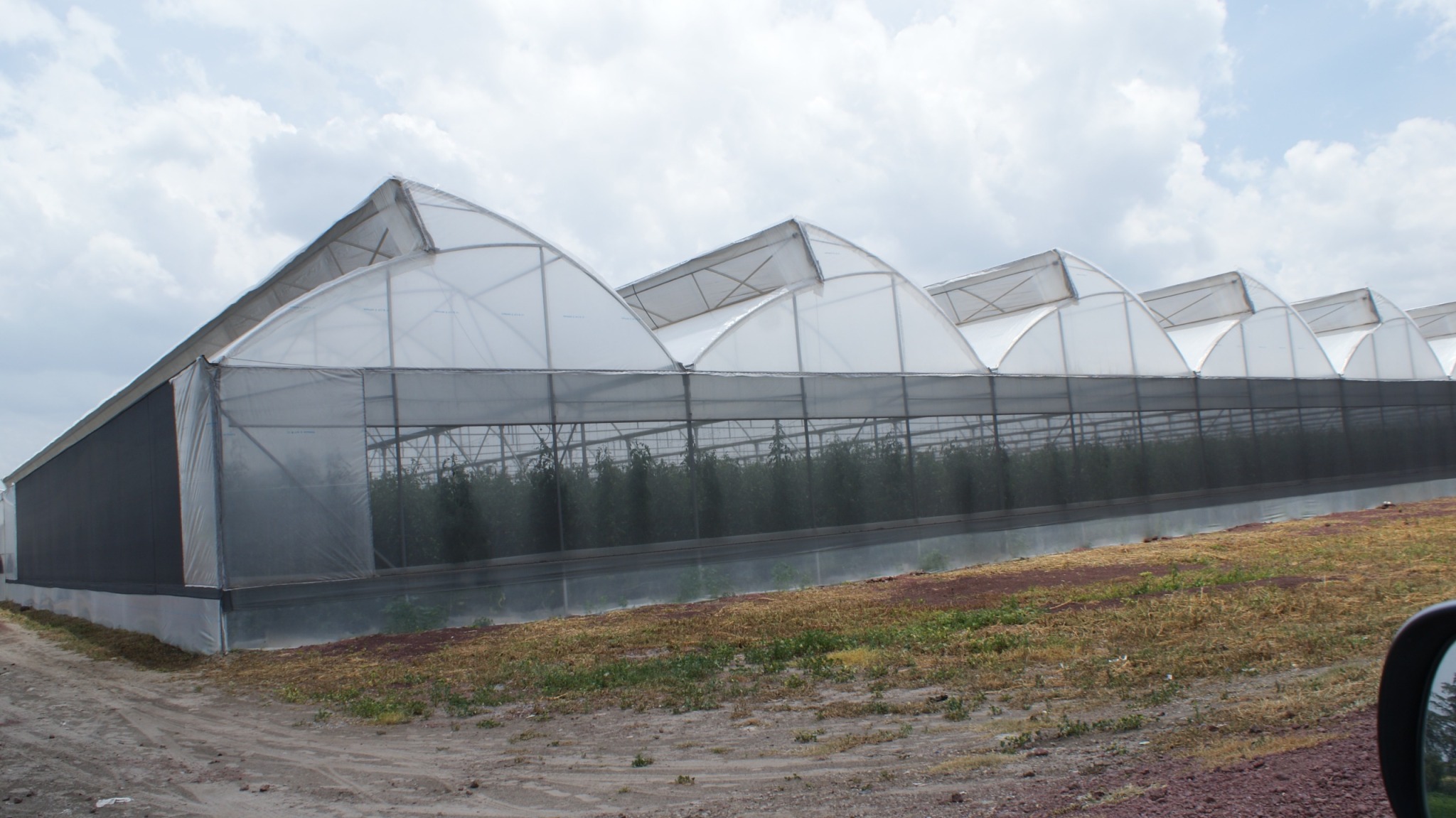 ¿Qué es la Hidroponía ? Y 8 puntos para Conocerla - Hydro Environment - Inovación Agricola en un ...