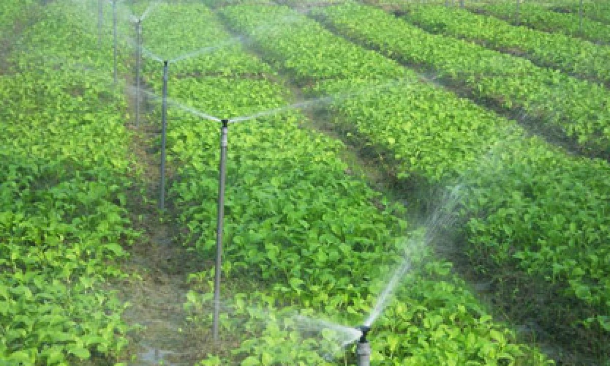 Partes De Riego De Invernadero